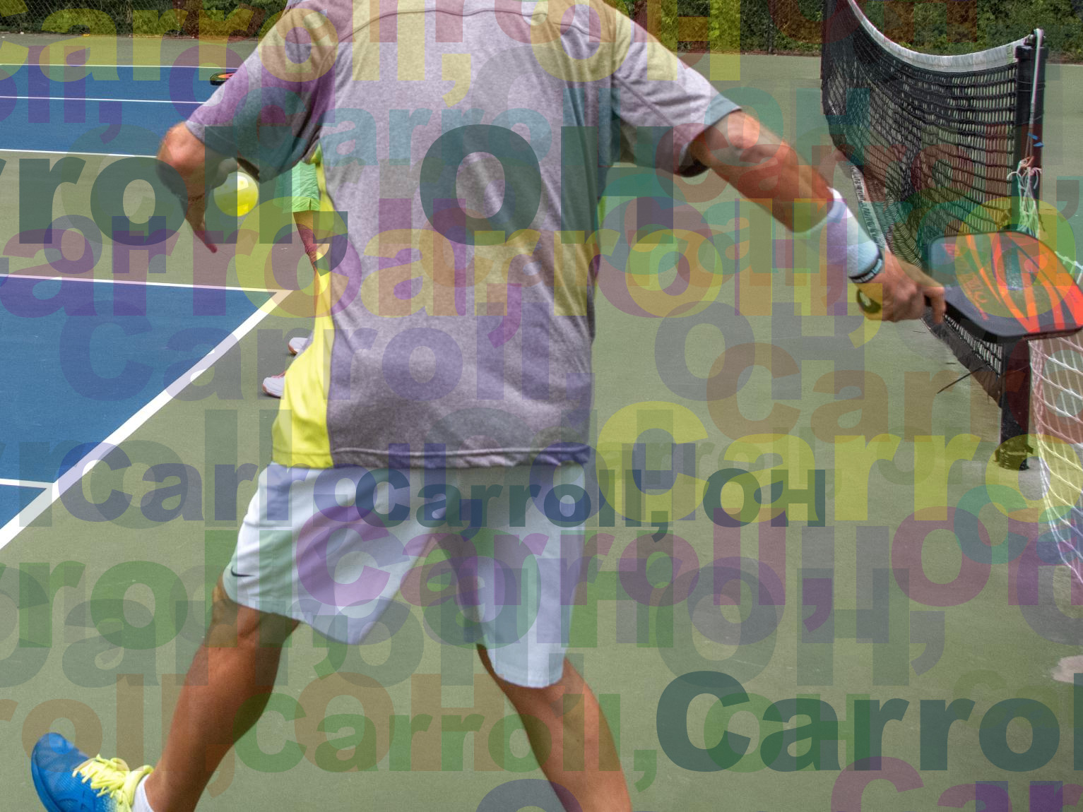 Carroll Businesses & Sponsors - Thank You for Your Support!